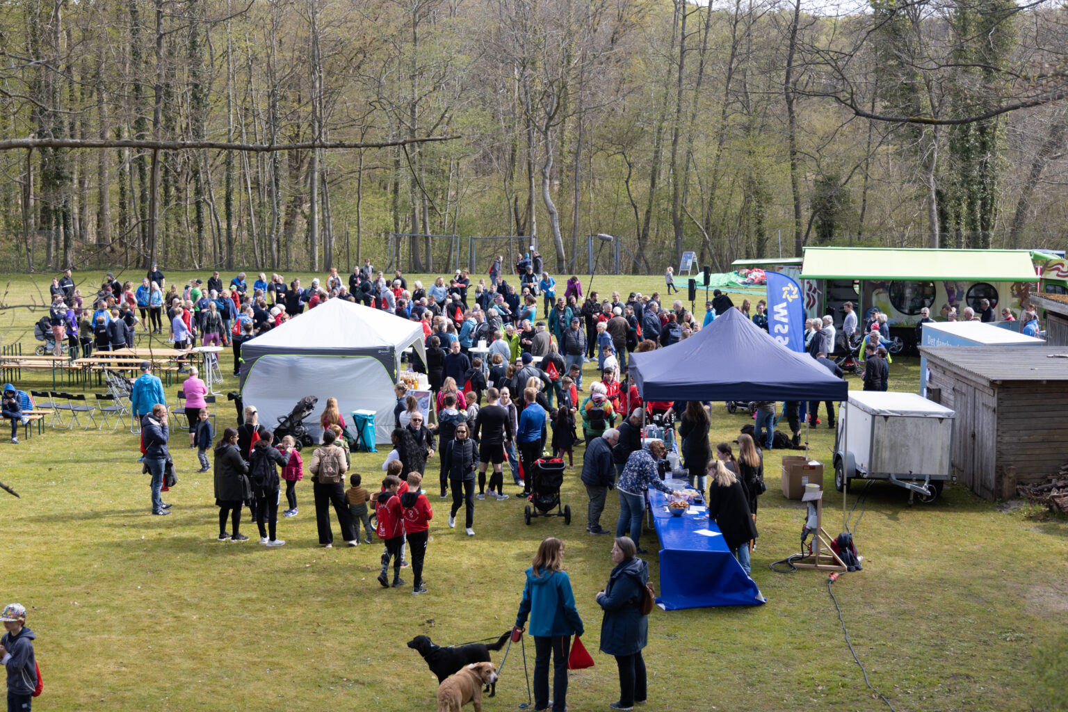Sæt dit præg på Løveløbet - Ugeavisen Sydslesvig